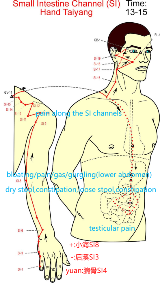 Symptoms&Meridian – Tcm Foundation
