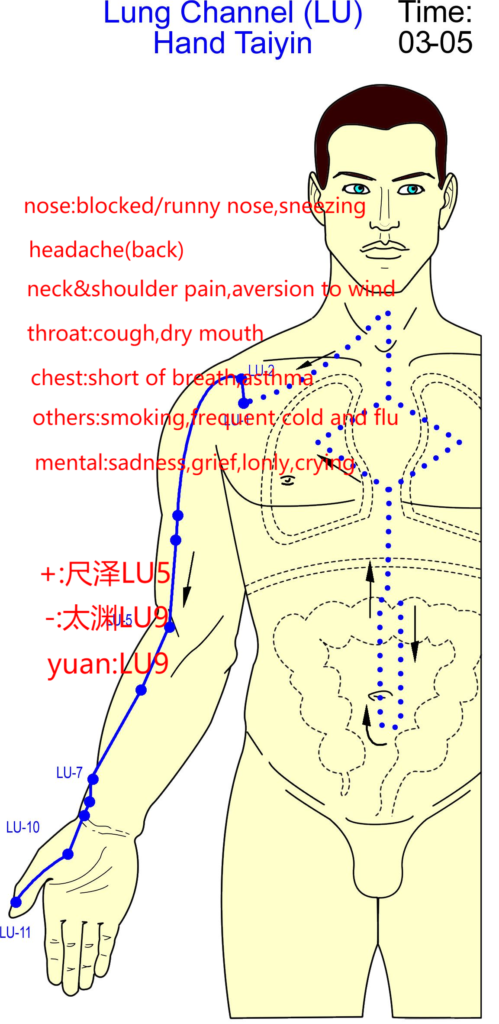 Symptoms&Meridian – Tcm Foundation